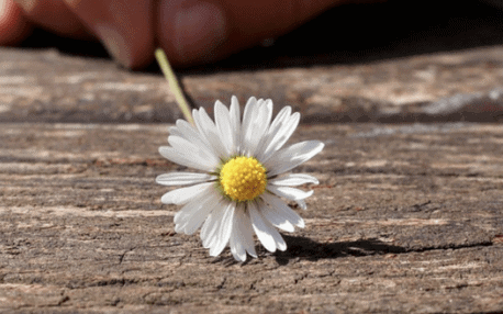 How you can help others this spring | New Life