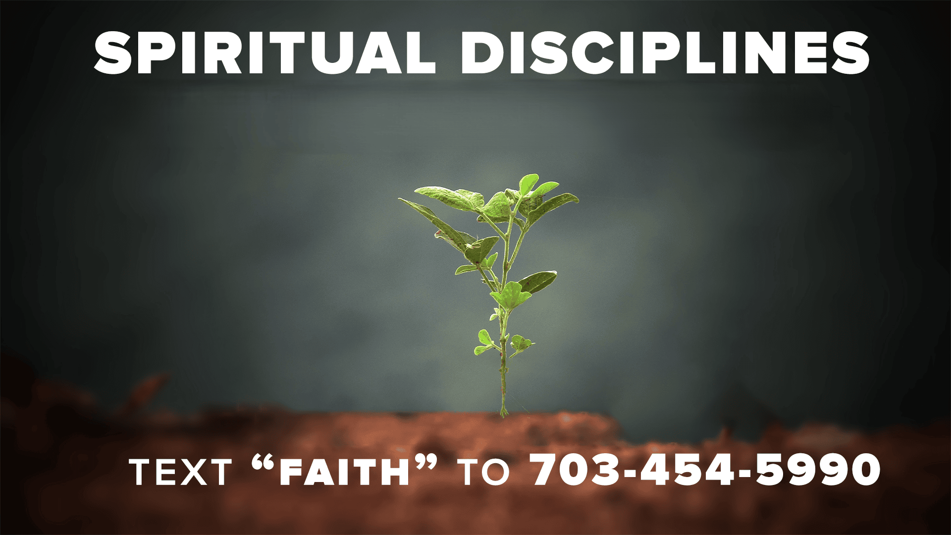 Spiritual Disciplines Plan (53 Days) | New Life